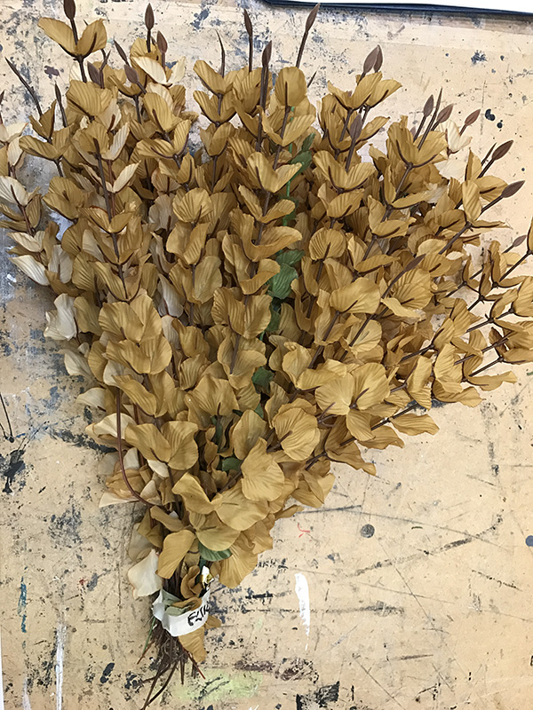 Large Buschel Brown Reeds - Props Inventory